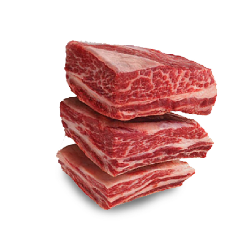 Beef Short Rib, Bone-in – Brazil Frozen Food – Brazil Frozen Food Supplier